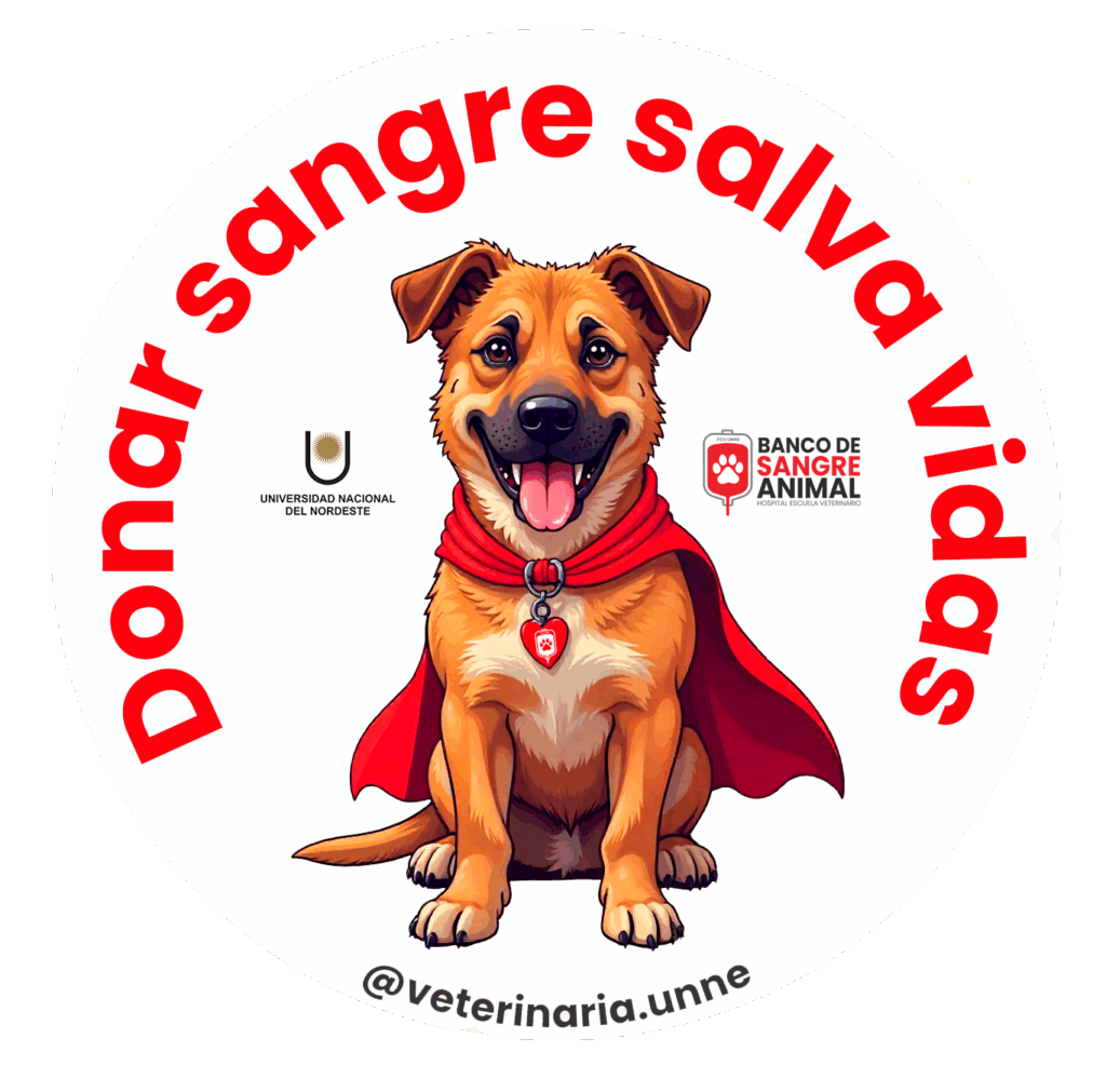 Banco de Sangre Animal – Facultad de Ciencias Veterinarias UNNE ...